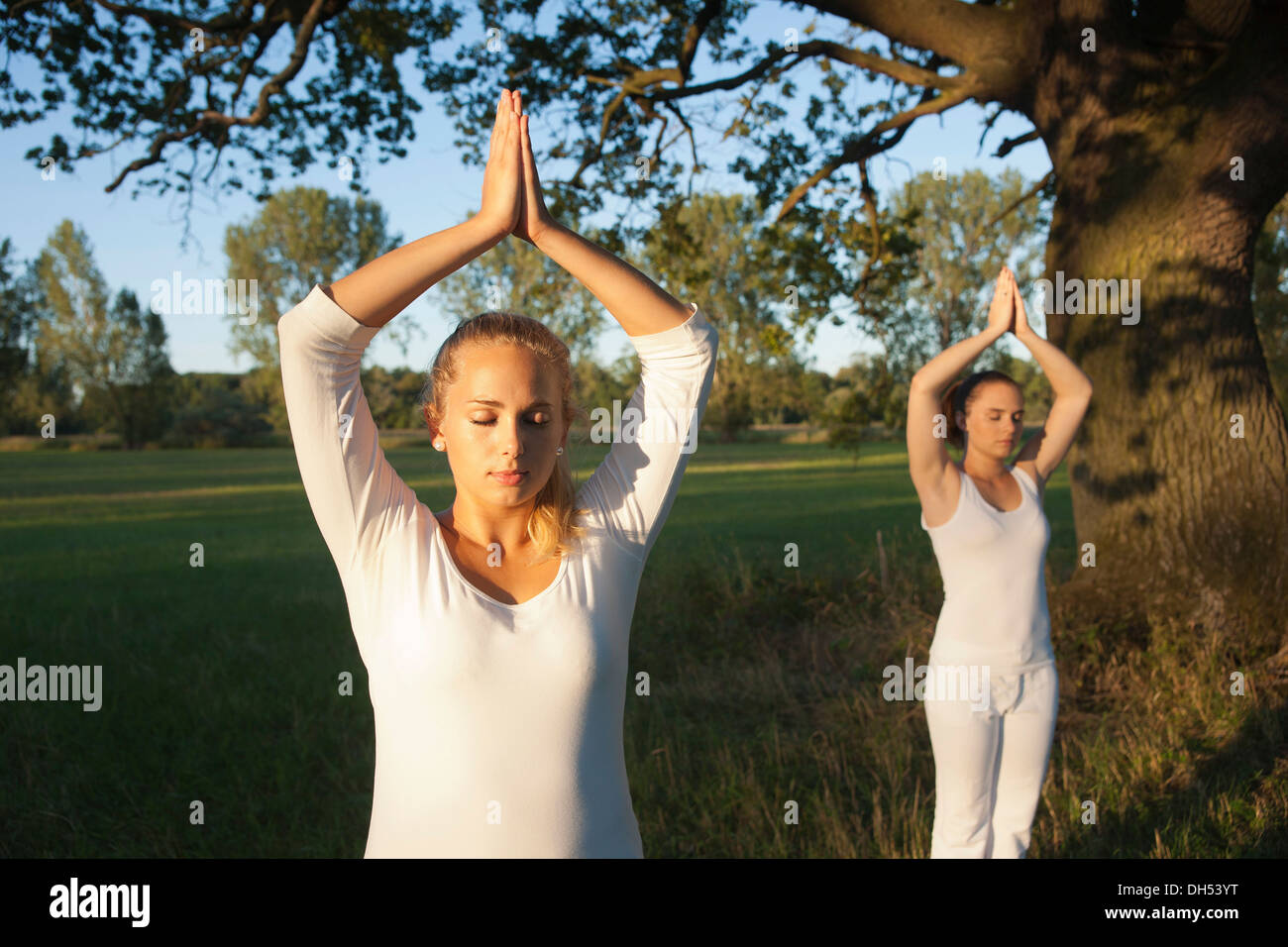 Two young women doing yoga exercises under a tree Stock Photo - Alamy