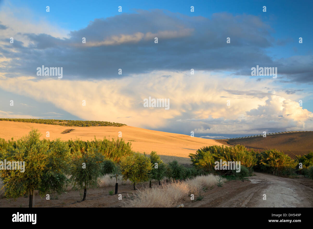 Spanish country landscape at sunset Stock Photo - Alamy