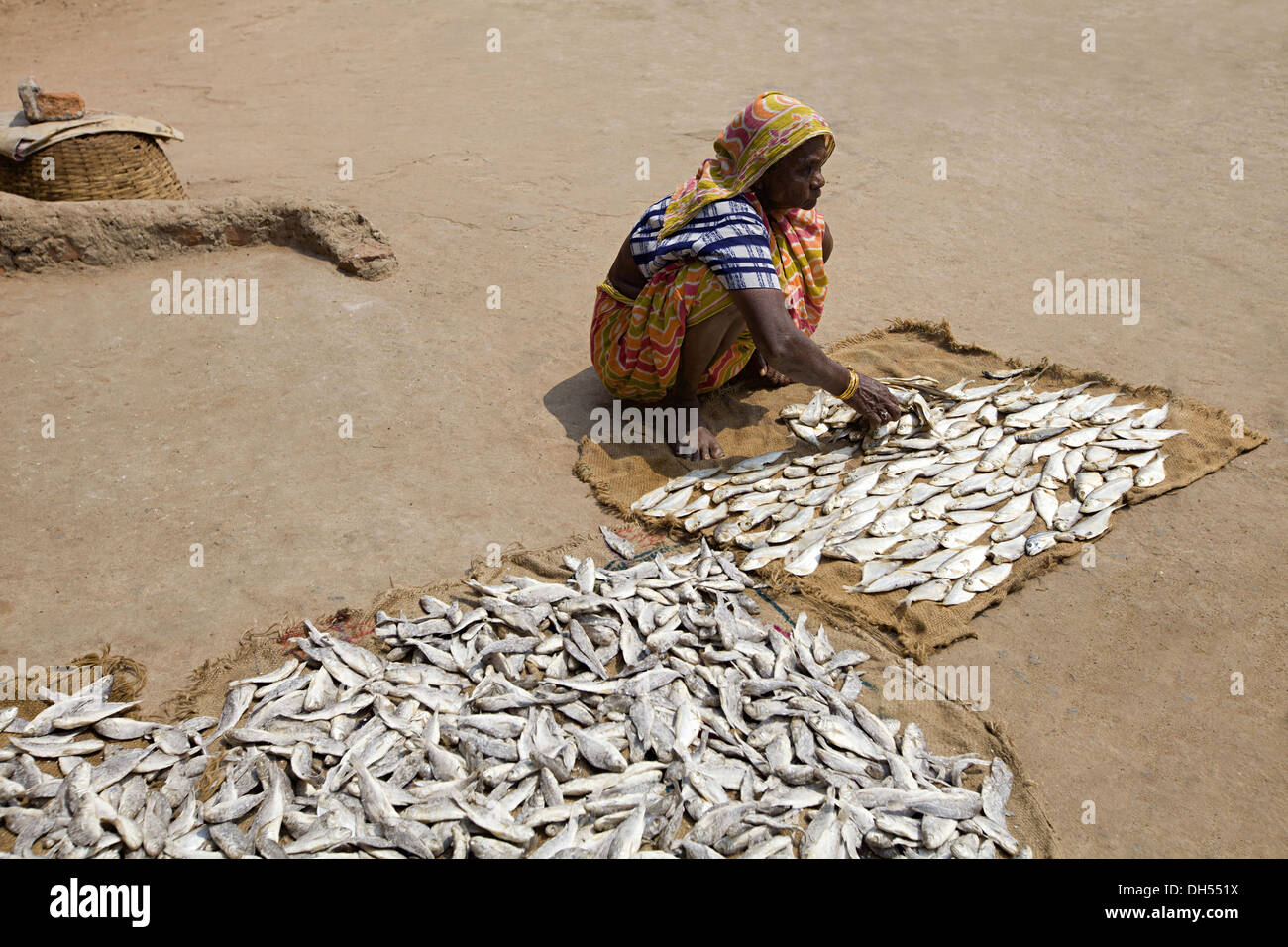Drying fish hi-res stock photography and images - Alamy