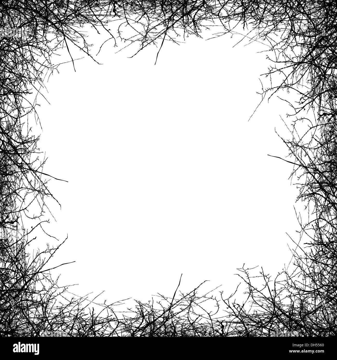 Black And White Tree Border