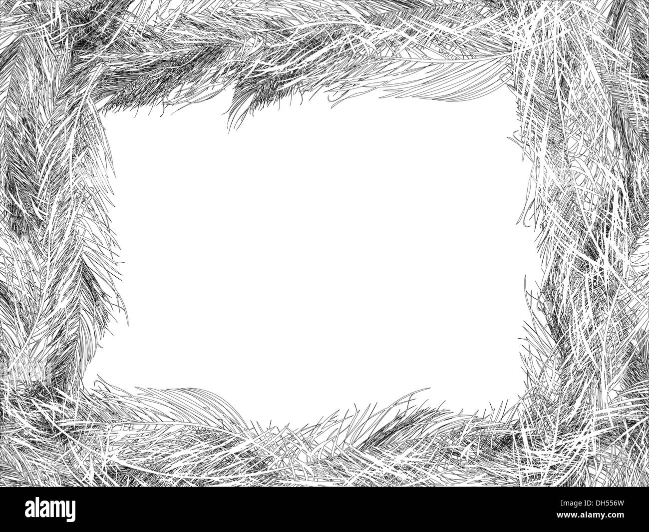 Black And White Tree Border