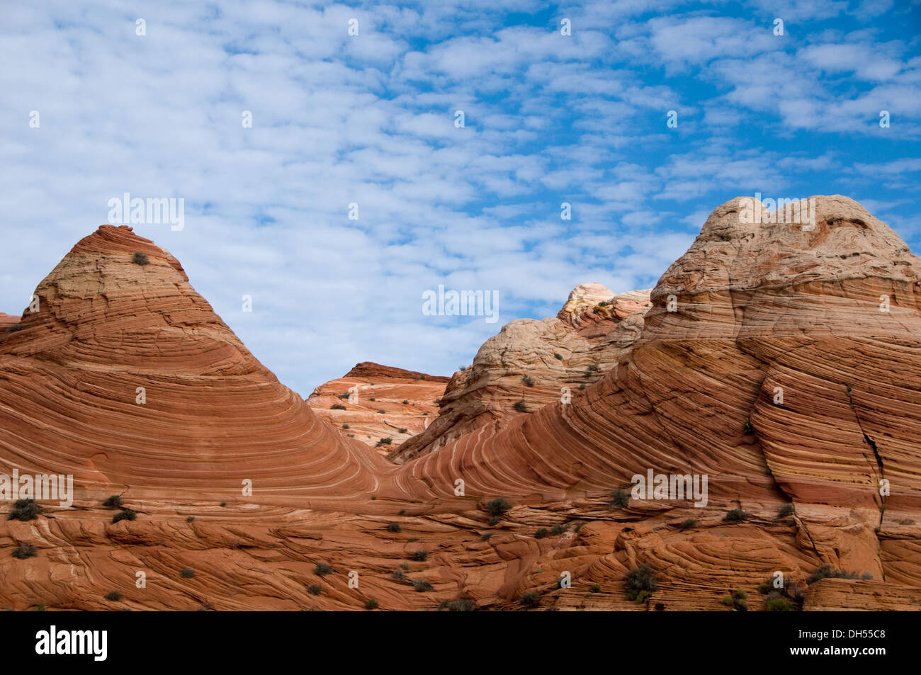 Coyote Buttes North ,American southwest Stock Photo - Alamy