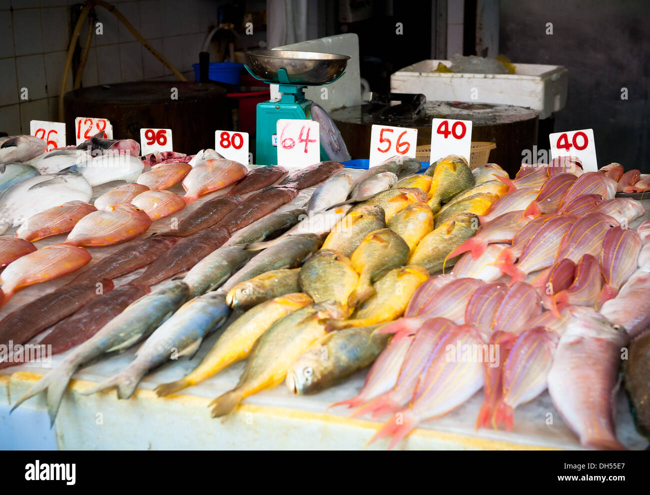 fresh fish at a fish market Stock Photo - Alamy