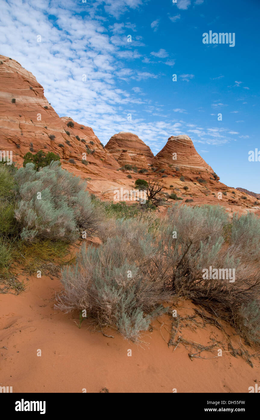 Coyote Buttes North ,American southwest Stock Photo - Alamy