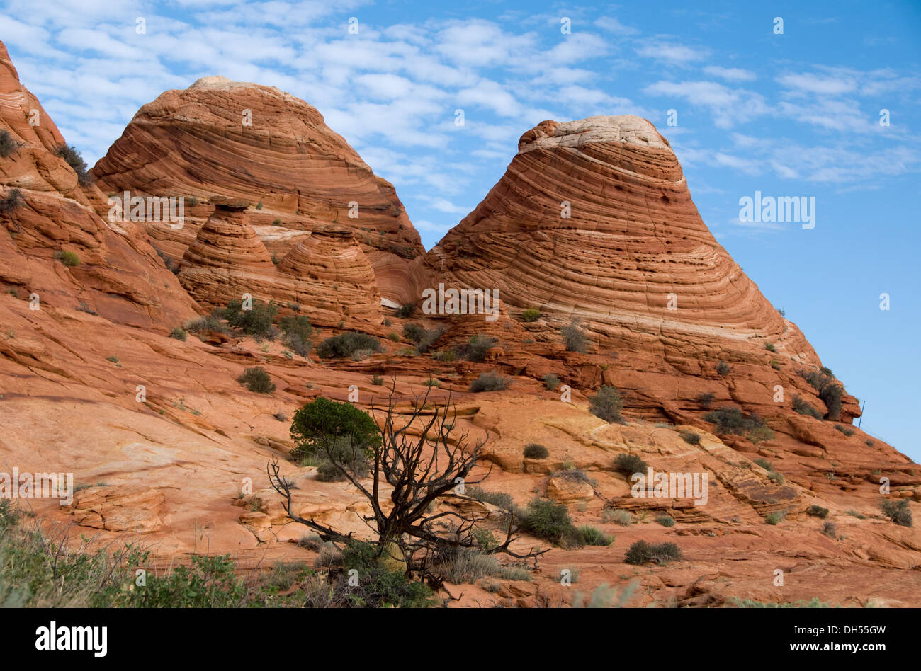 Coyote Buttes North ,American southwest Stock Photo - Alamy