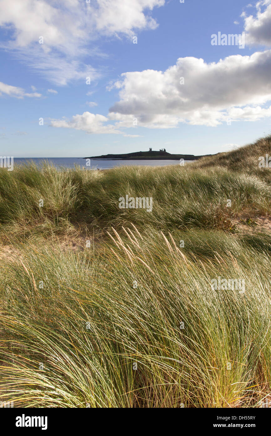 Dunstanburgh Castle from the sand dunes of Embleton Beach ...