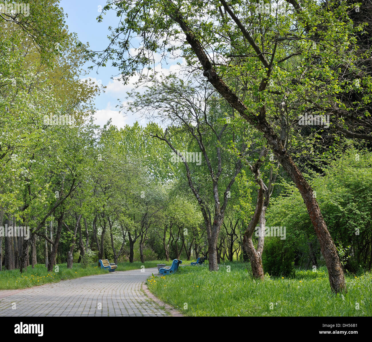 Alley april hi-res stock photography and images - Alamy