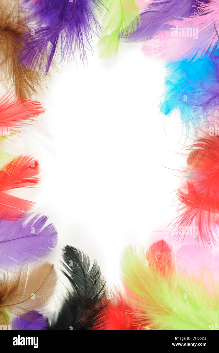 Colorful feathers border Stock Photo - Alamy
