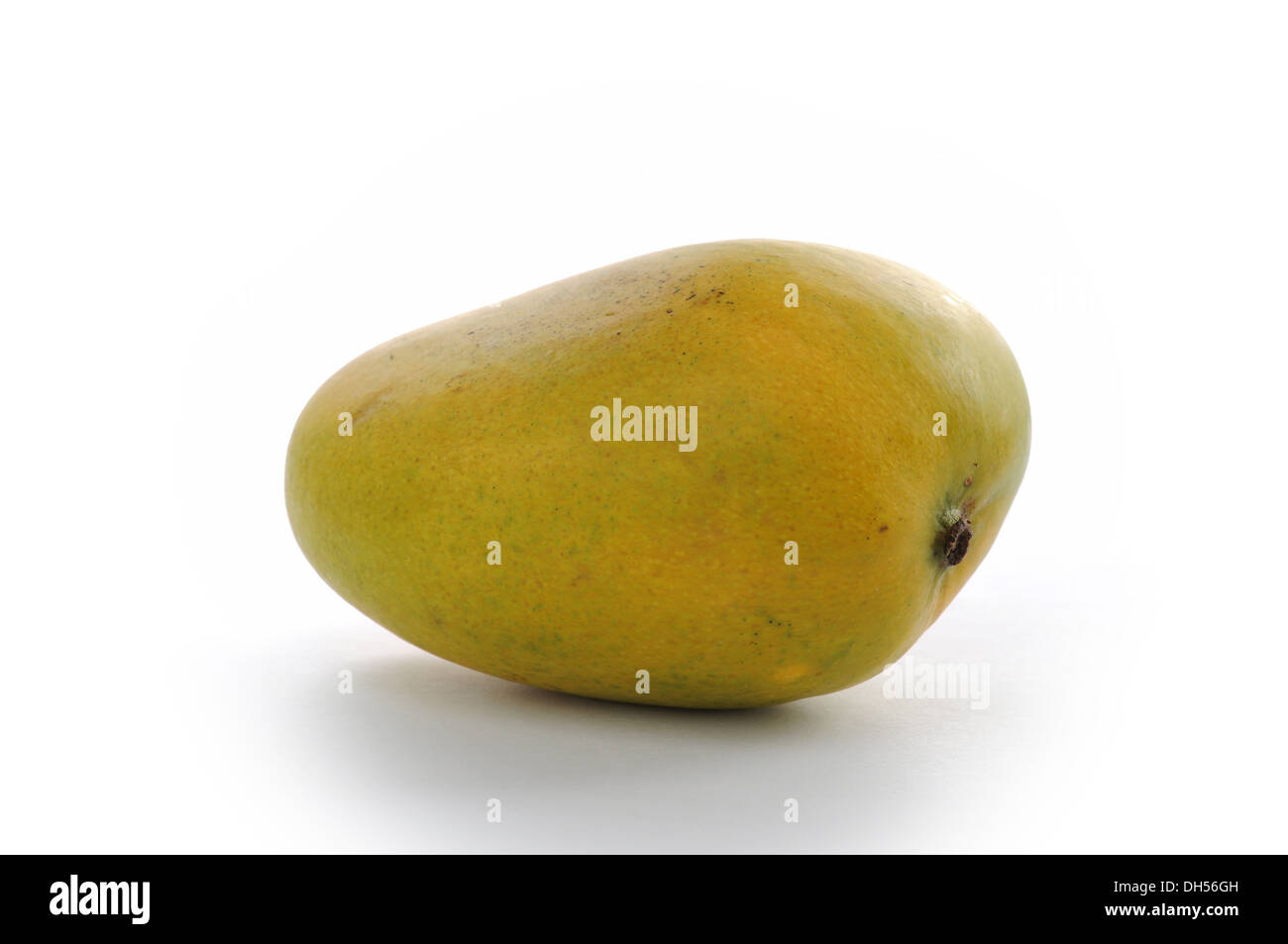 Mango on white background Stock Photo - Alamy