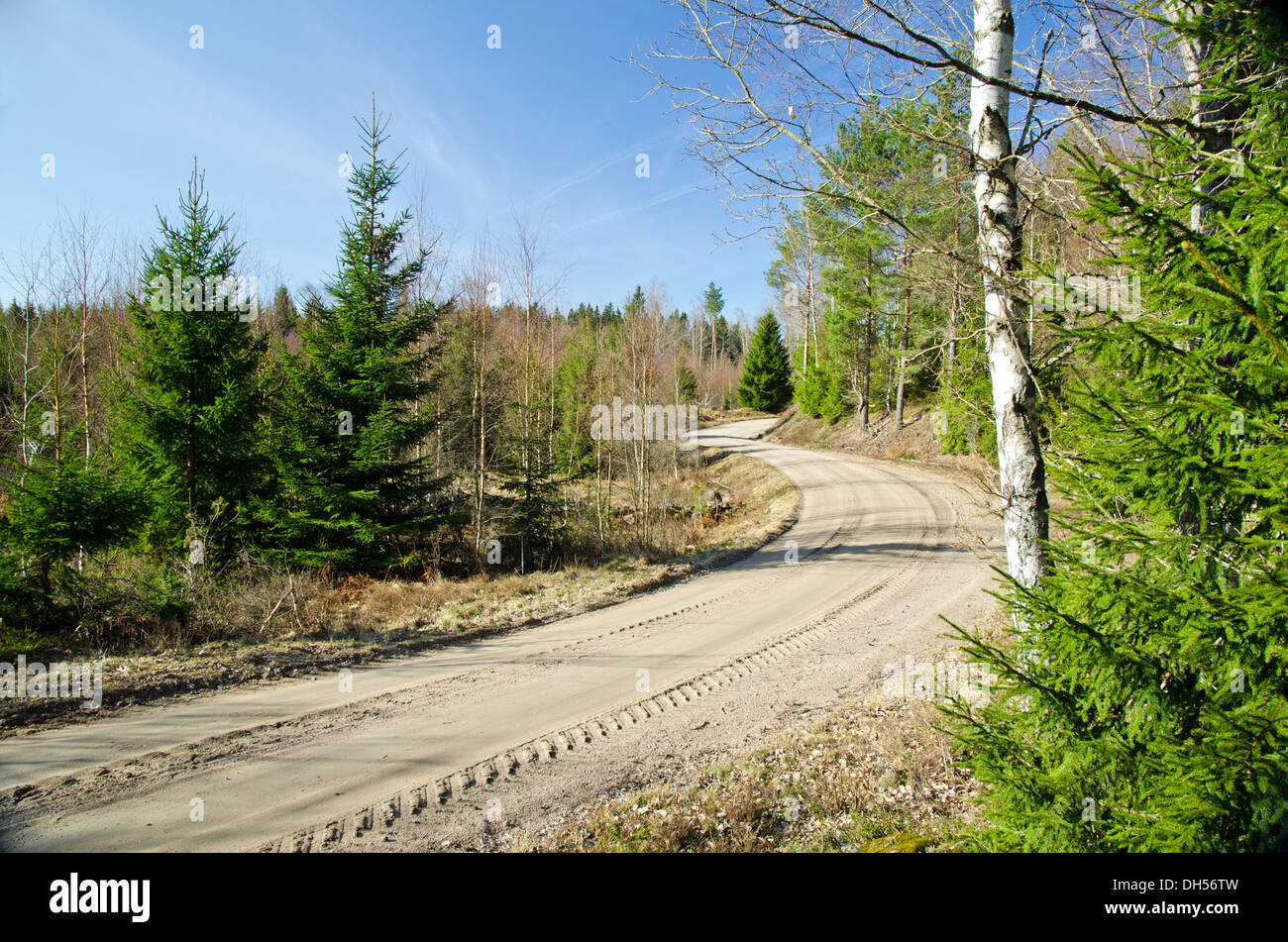 Forest dirt road Stock Photo - Alamy