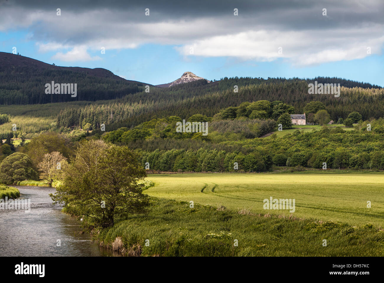 View over Lords Throat to Bennachie near Monymusk In Aberdeenshire in ...