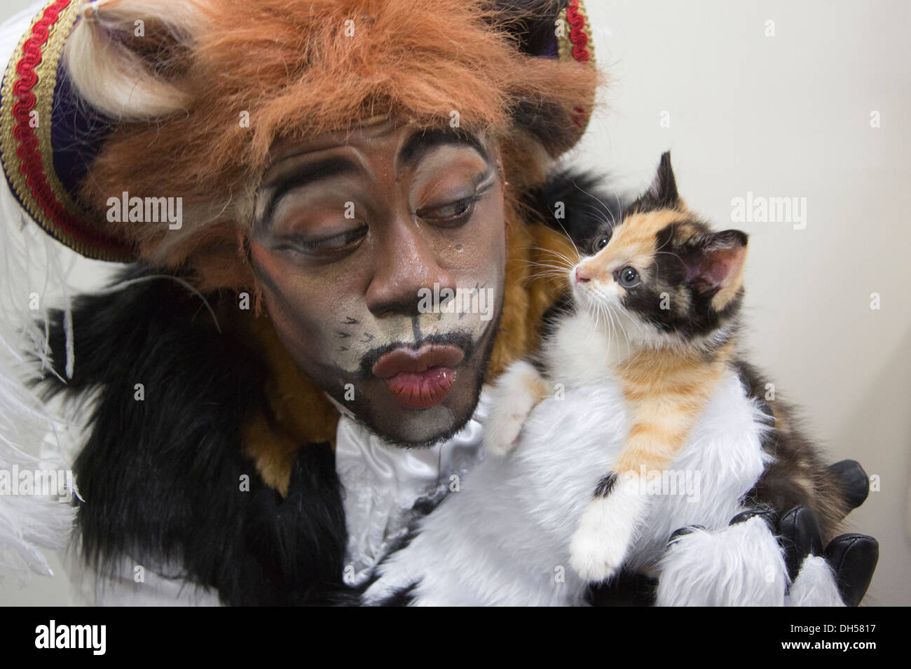Pantomime cat hi-res stock photography and images - Alamy