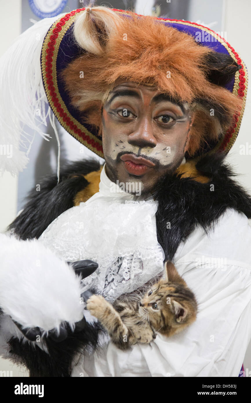 Puss in Boots panto character plays with kittens at the cattery of the ...