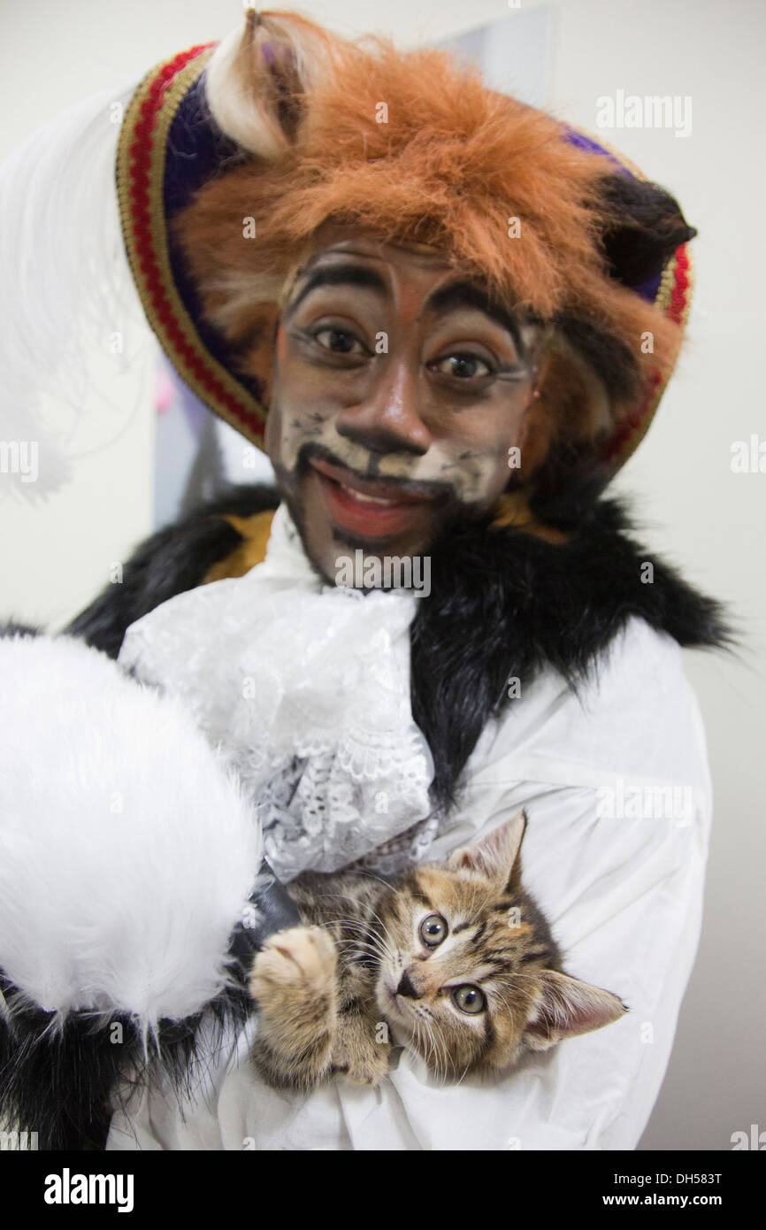 Puss in Boots panto character plays with kittens at the cattery of the ...