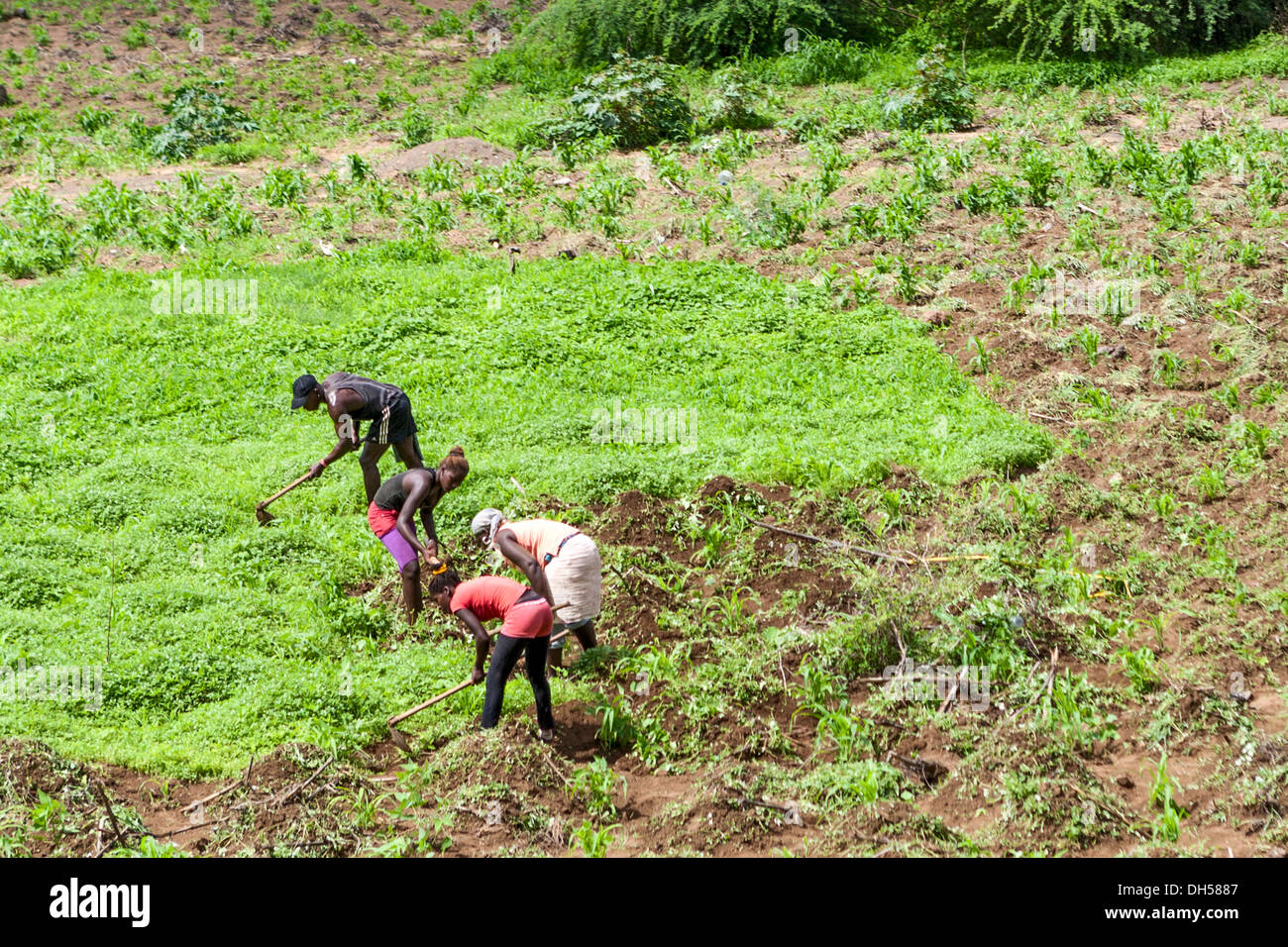Farmers, Rui Vaz village, Santiago island, Cape Verde Stock Photo - Alamy