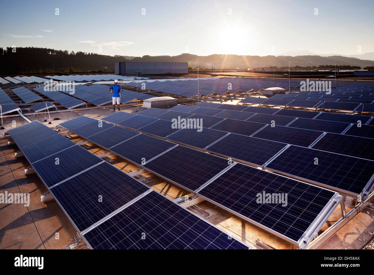 Plant backlighting hi-res stock photography and images - Alamy