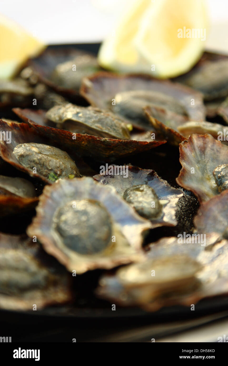 Grilled limpets with lemon. Madeira's traditional dish Stock Photo - Alamy