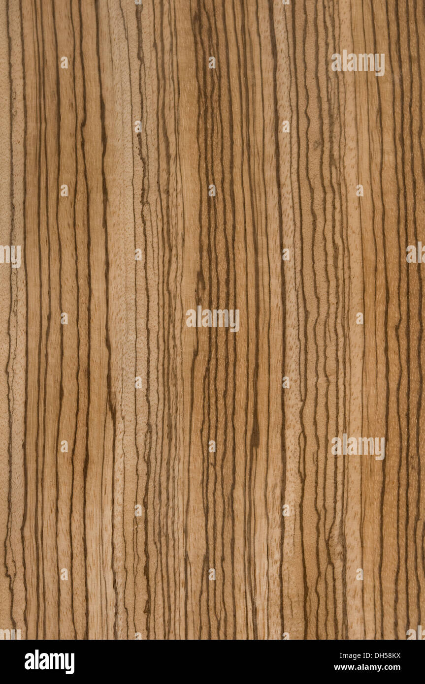 Timber texture hi-res stock photography and images - Alamy