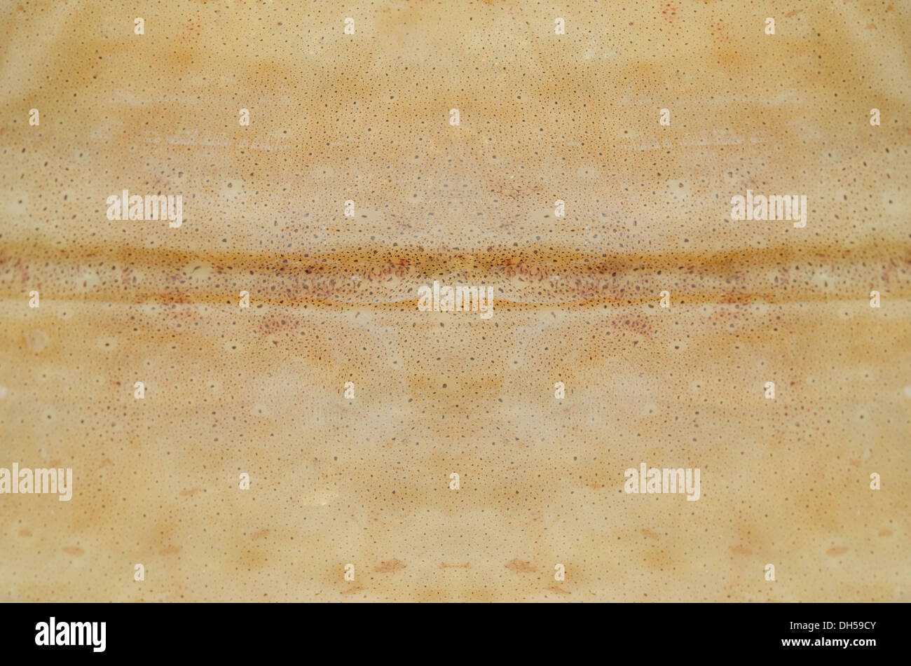 Cuttlefish skin texture , ( squid skin for background Stock Photo - Alamy