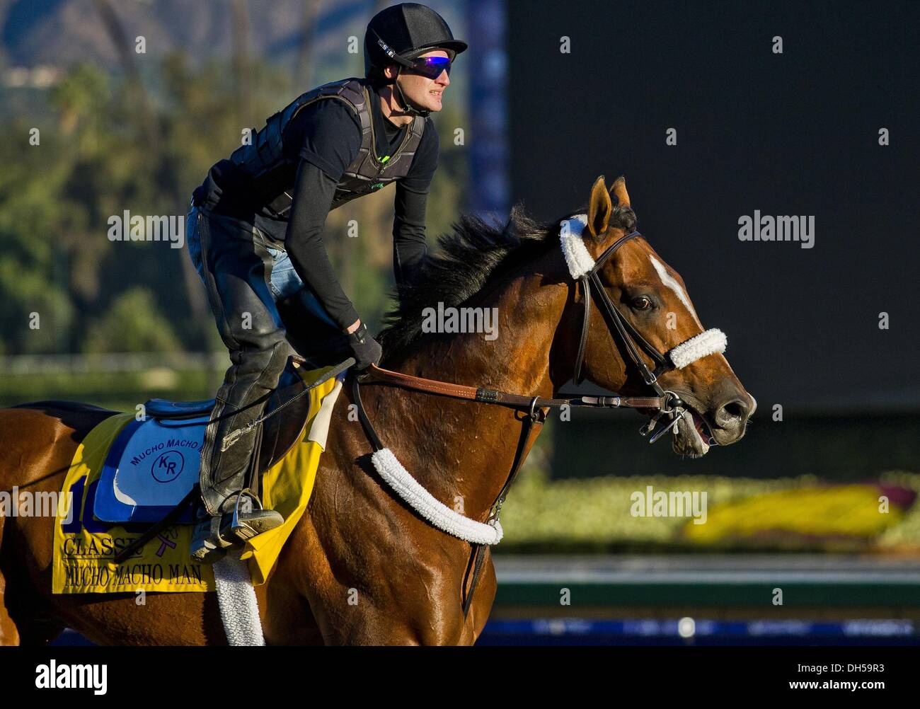 Arcadia, California, USA. 31st Oct, 2013. Mucho Macho Man , trained by ...