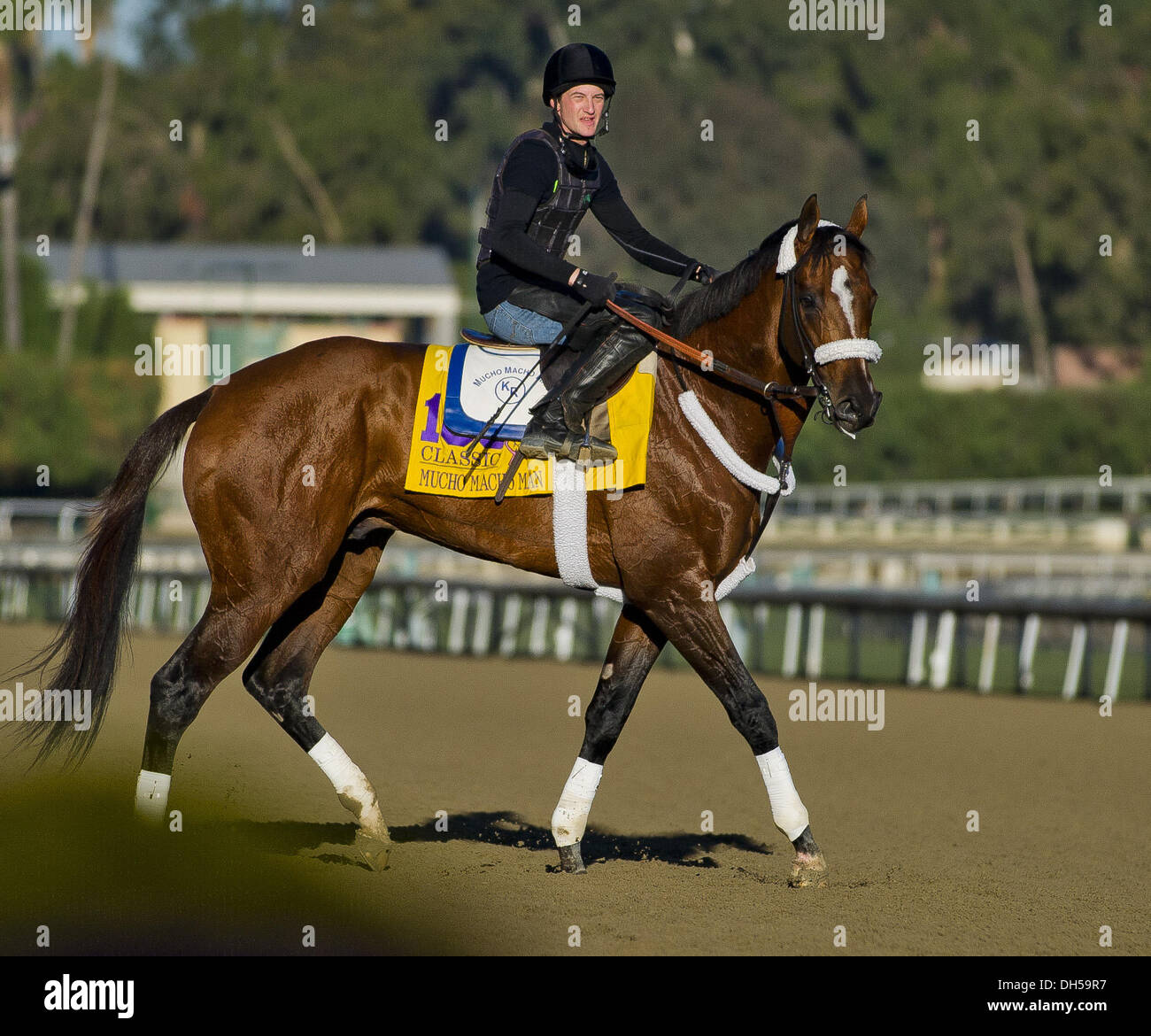Arcadia, California, USA. 31st Oct, 2013. Mucho Macho Man , trained by ...