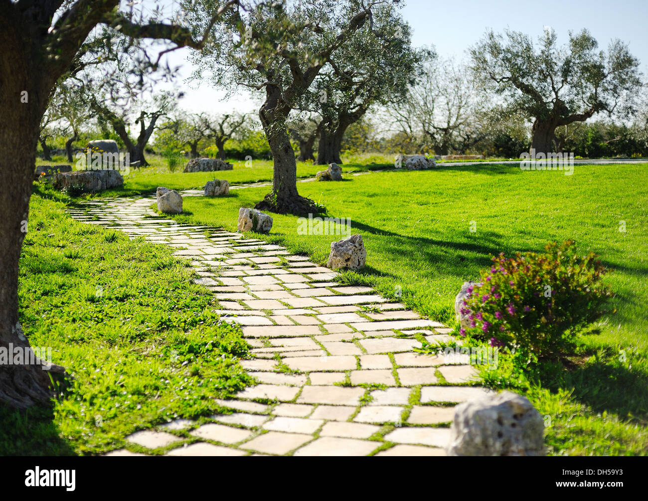 Pedestrian nature hi-res stock photography and images - Alamy
