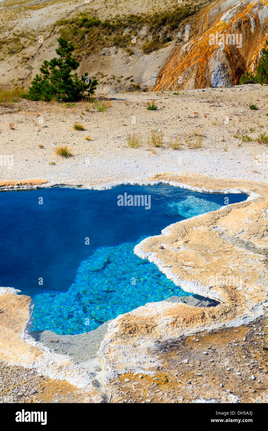 Blue star spring in yellowstone national park hi-res stock photography ...
