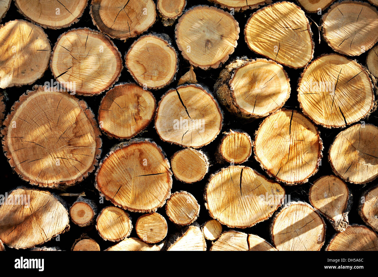 Pile of chopped fire wood stocked for winter time Stock Photo - Alamy