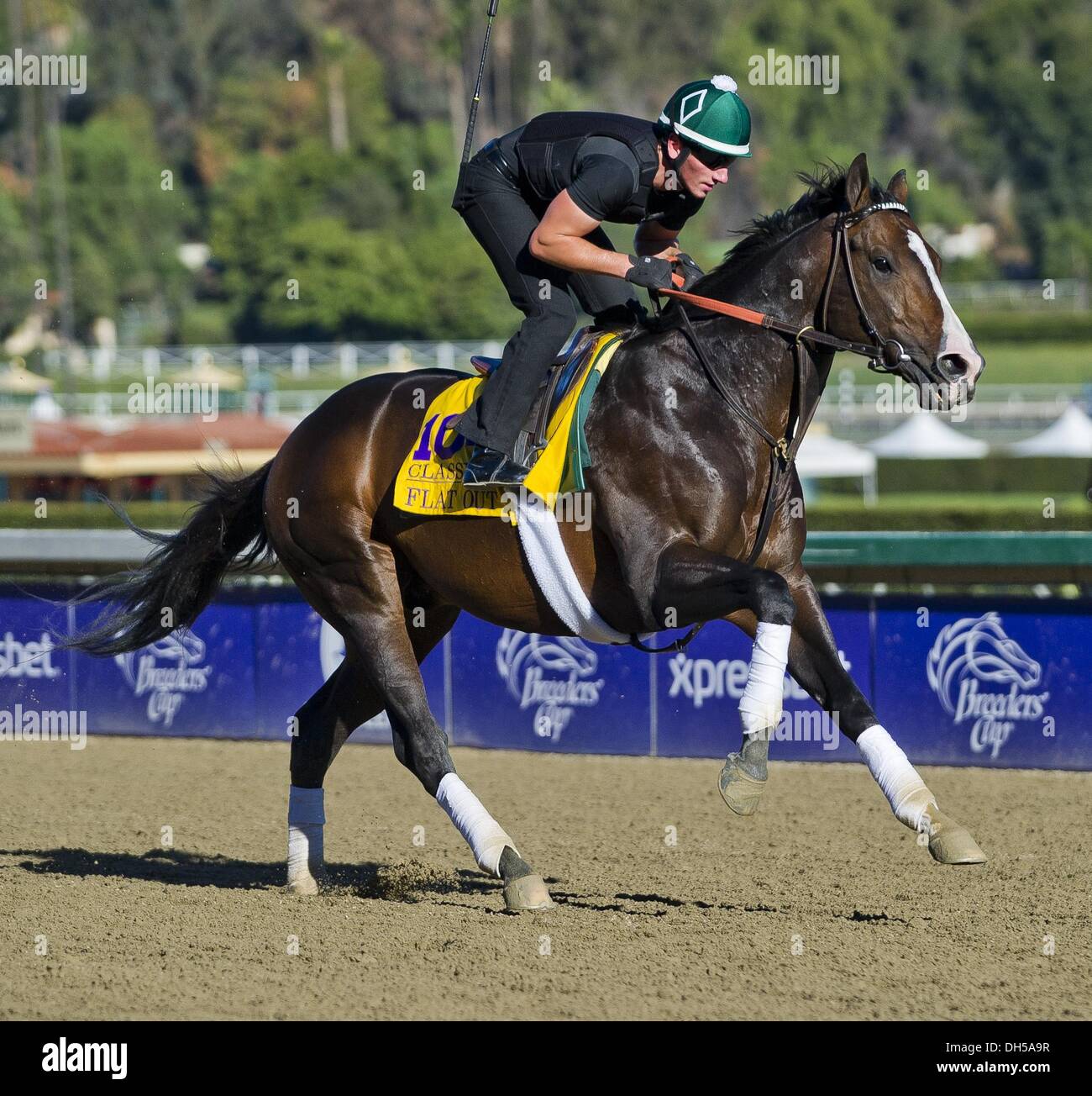 Arcadia, California, USA. 31st Oct, 2013. Flat Out, trained by Bill ...
