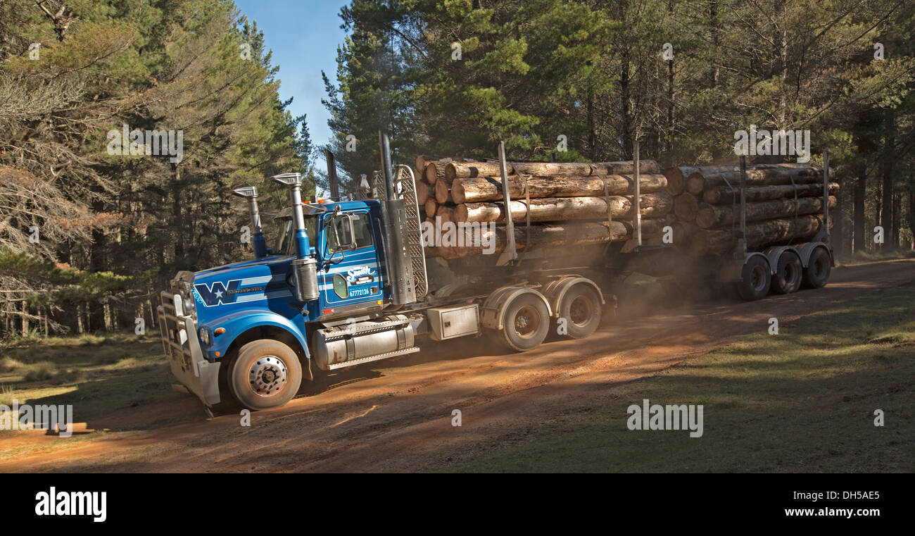 Logging truck on road hi-res stock photography and images - Alamy