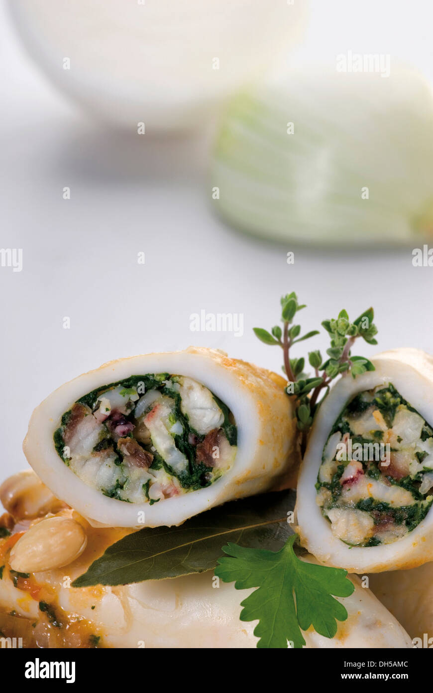 Southern calamari hi-res stock photography and images - Alamy