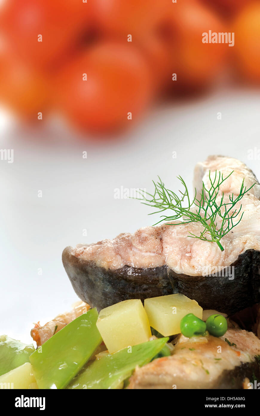 Conger eel hi-res stock photography and images - Alamy