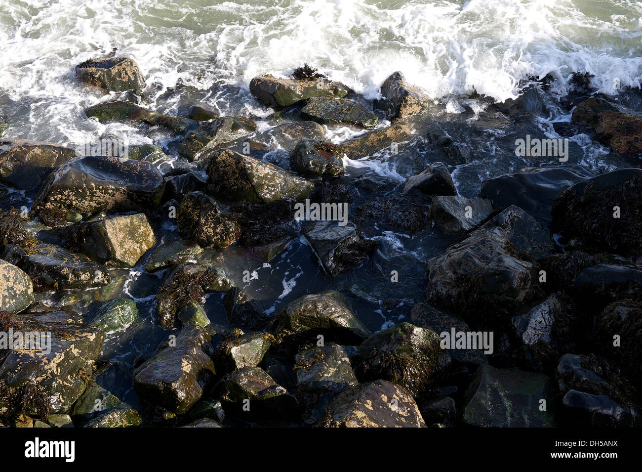 Seashore rocks hi-res stock photography and images - Alamy