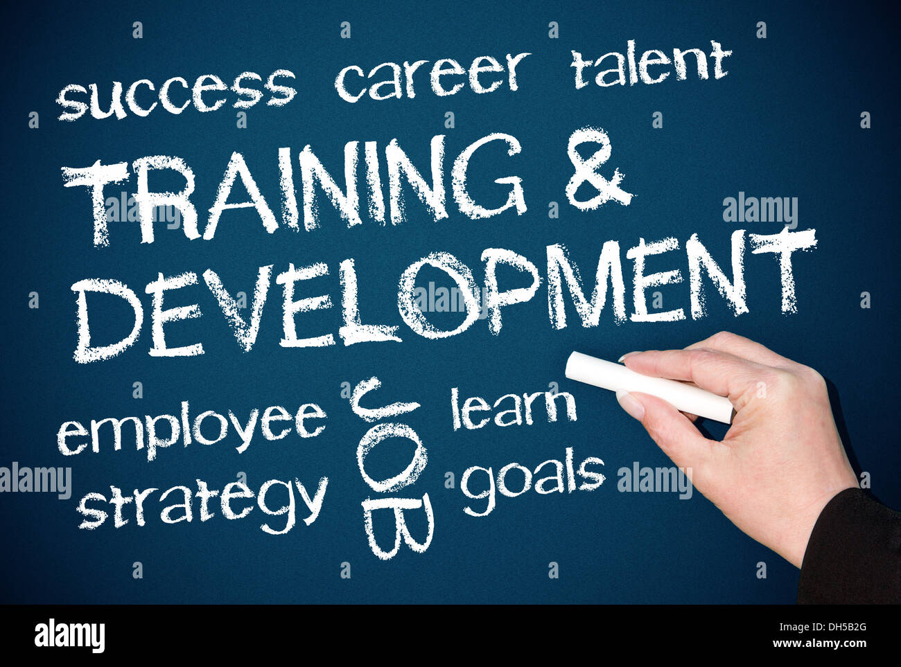 Training and Development Stock Photo - Alamy