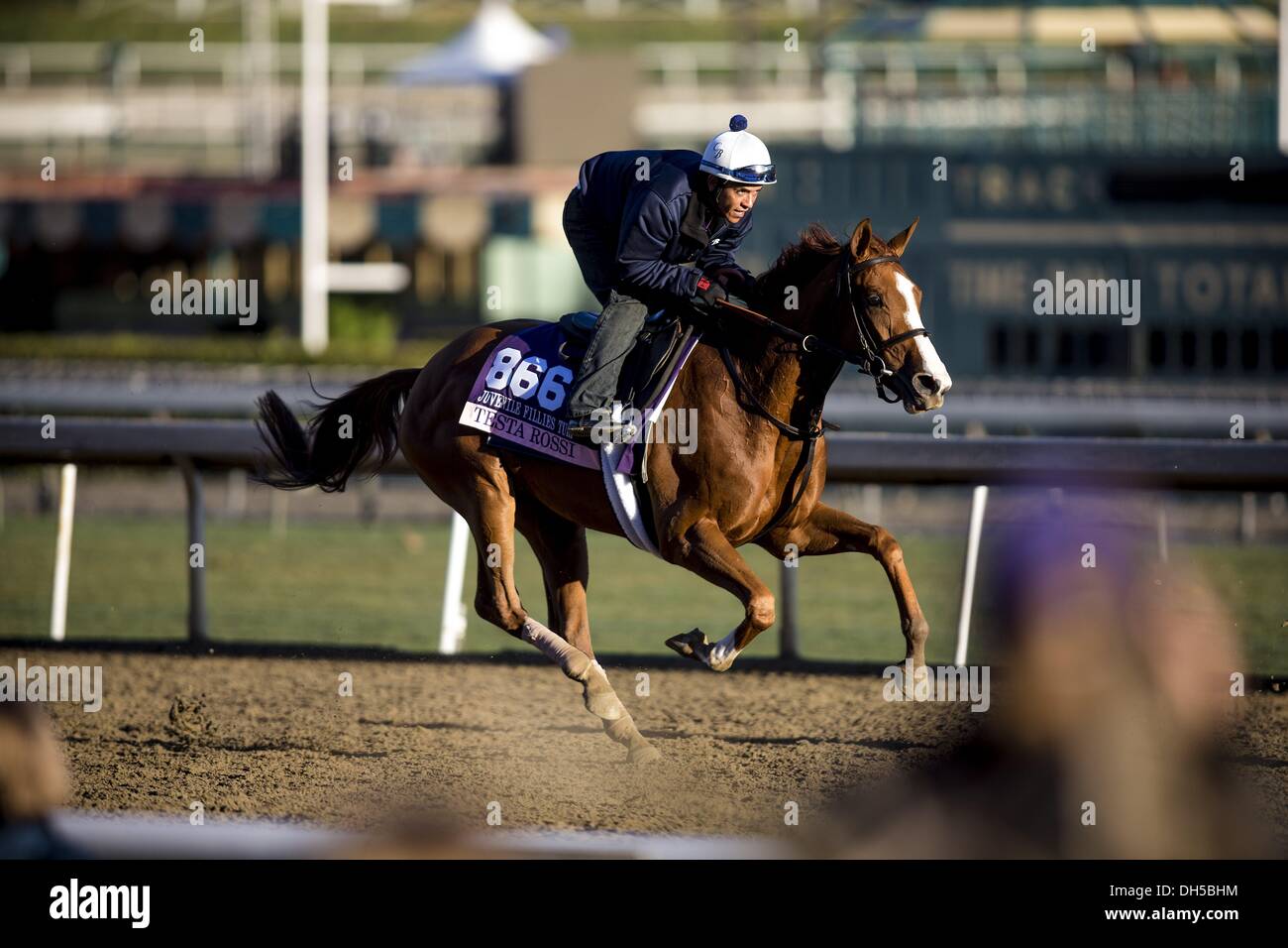 Arcadia, California, USA. 31st Oct, 2013. Tessta Rossi trains for the ...