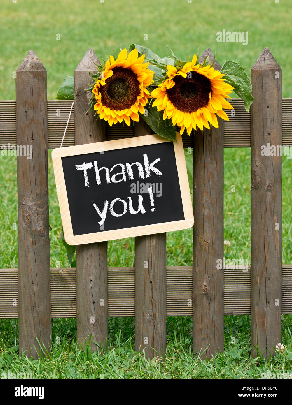 Thank you ! Stock Photo - Alamy