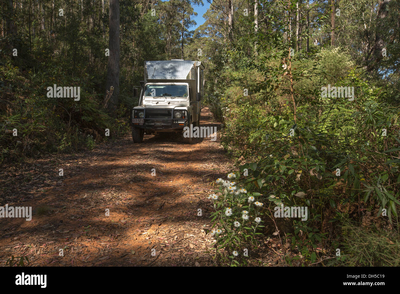 4WD campervan / mobile home driving along stony track through lush ...