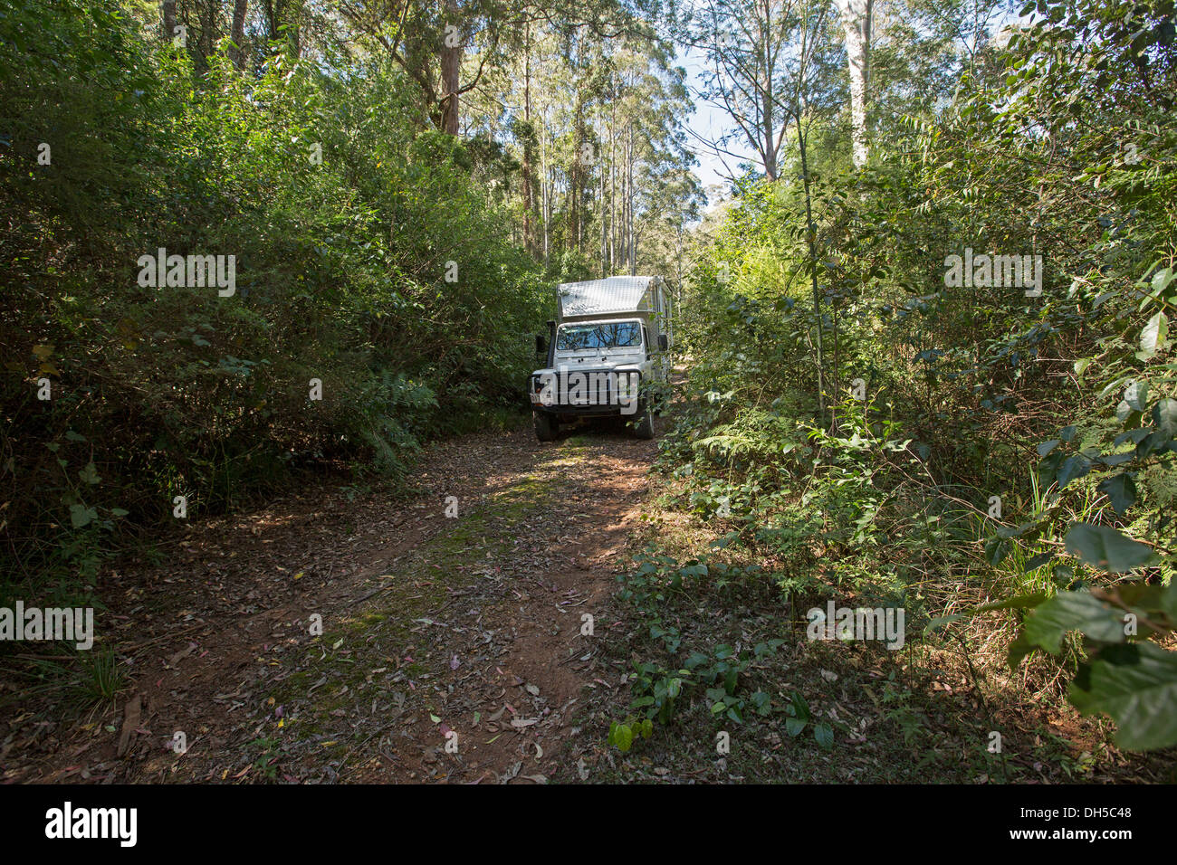 4WD campervan / mobile home driving along stony track through lush ...