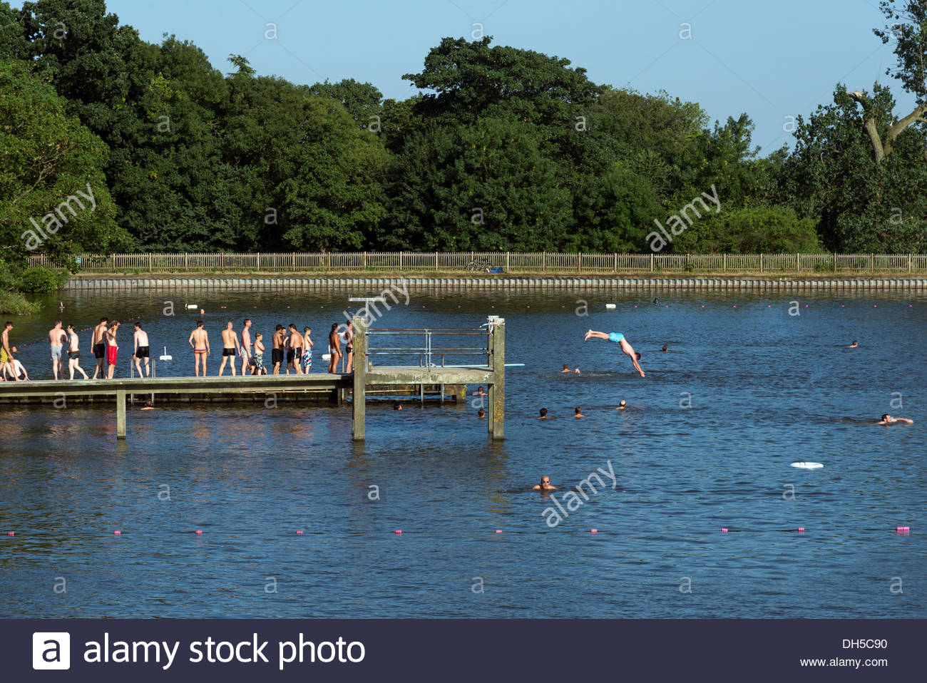 Highgate Pond Swimming Stock Photos & Highgate Pond Swimming Stock ...