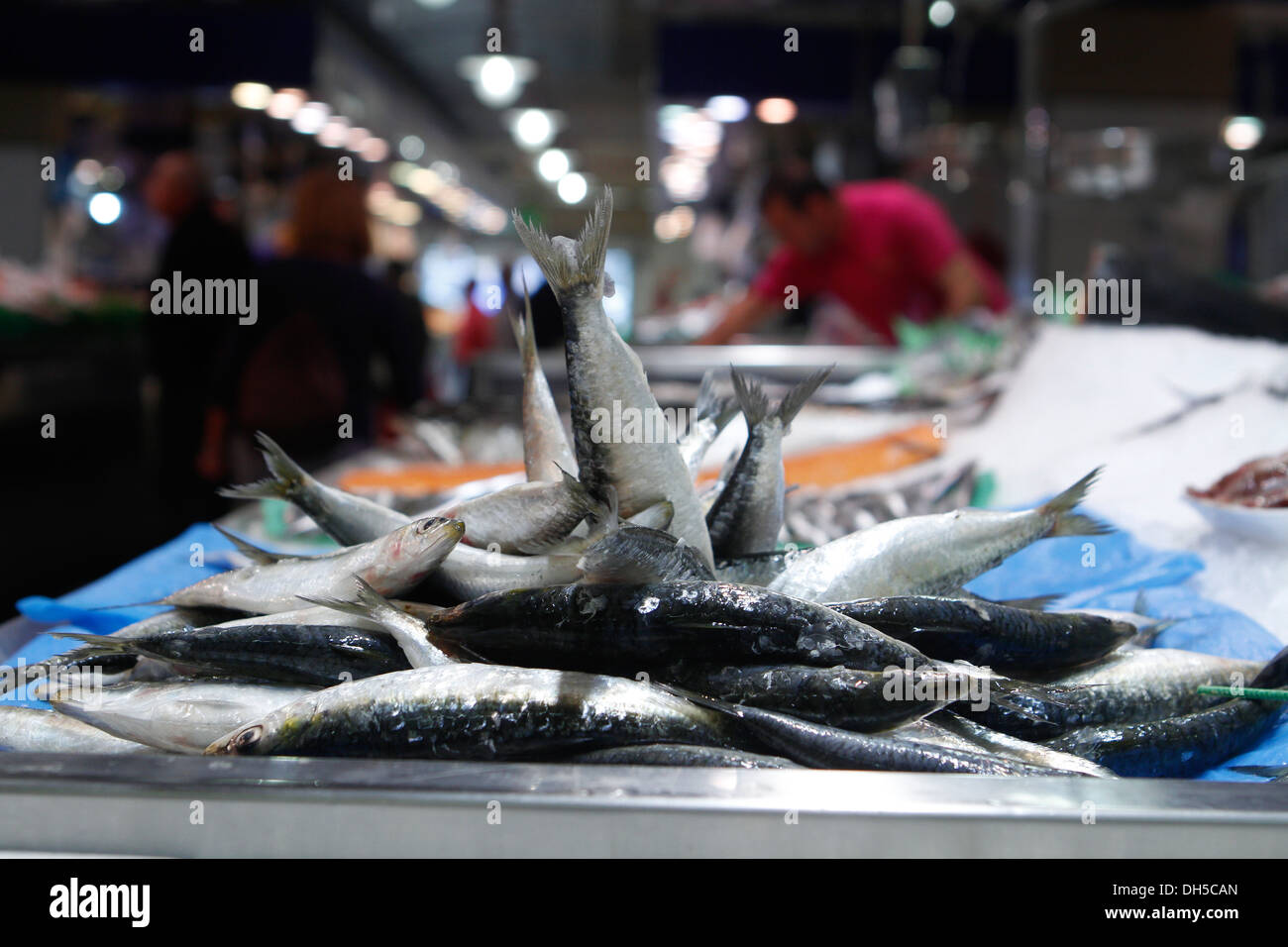 Symbols of fishing industry hi-res stock photography and images - Alamy