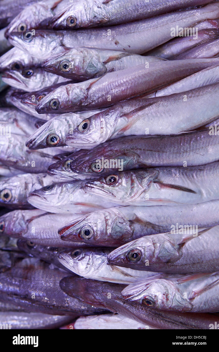 Fish seen on a local market in the island of Majorca, Spain Stock Photo ...