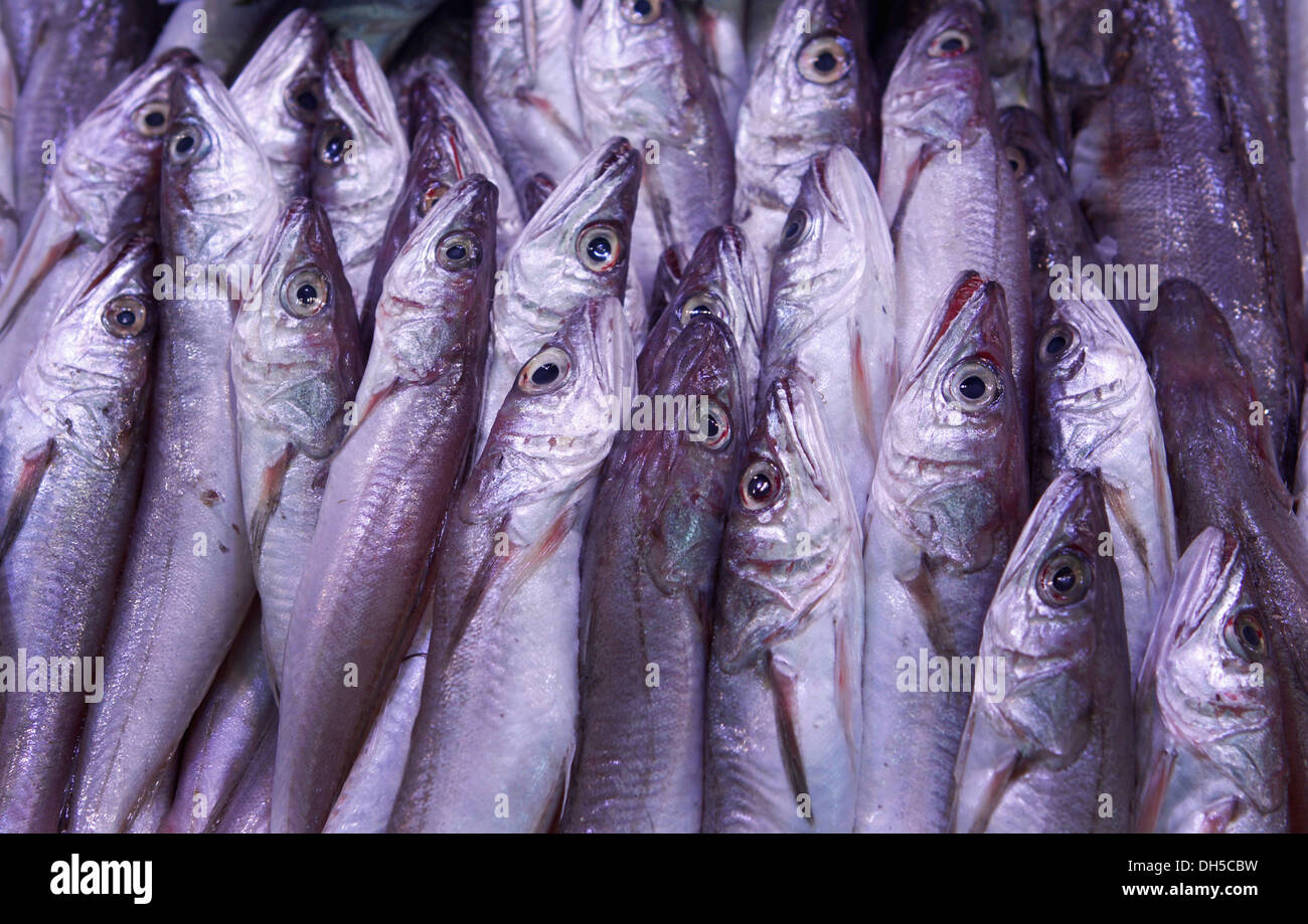 Fish seen on a local market in the island of Majorca, Spain Stock Photo ...