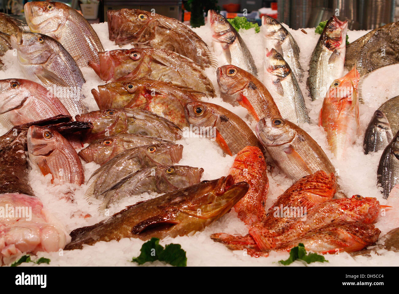 Fish seen on a local market in the island of Majorca, Spain Stock Photo ...