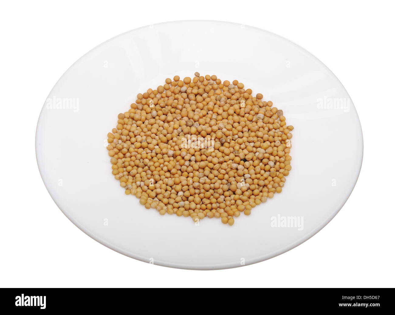 Mustard seeds culinary spice hi-res stock photography and images - Alamy