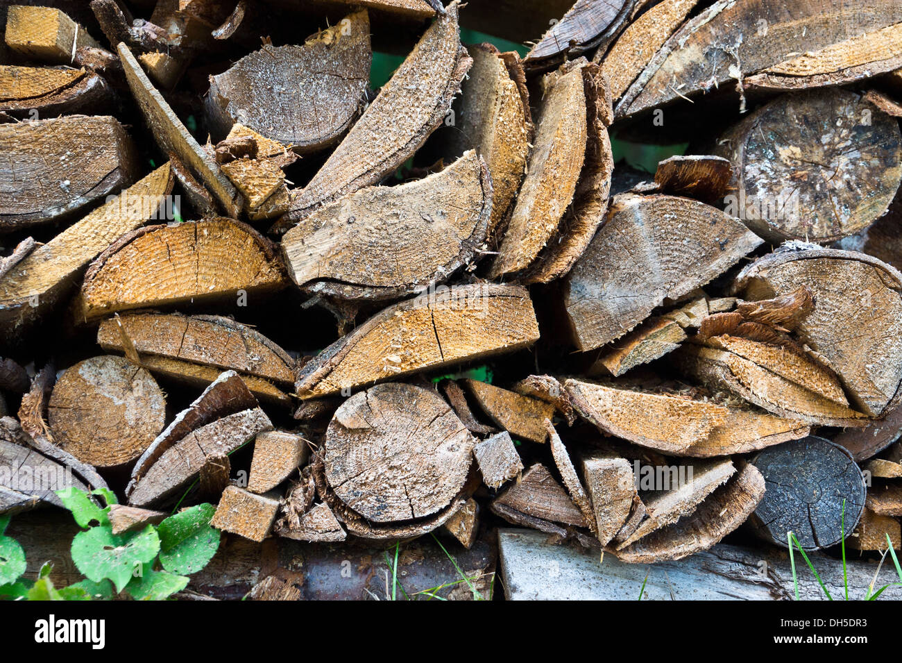 woodpile chopped wood Stock Photo - Alamy