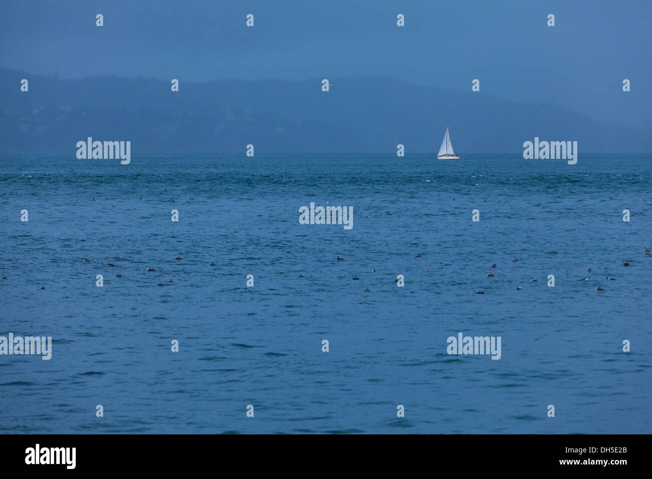 Single sail boat hi-res stock photography and images - Alamy