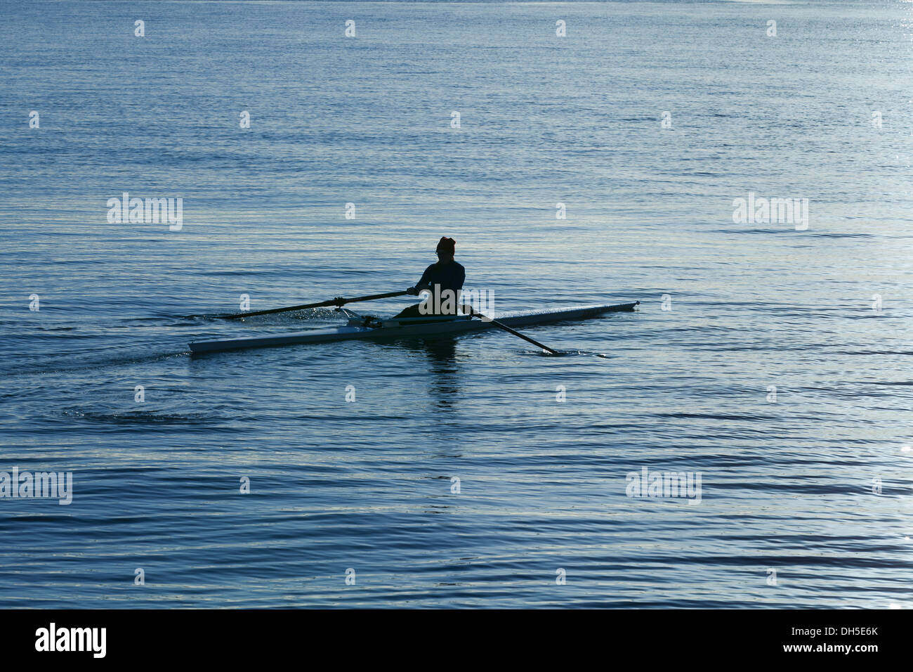 A rower in a single scull boat Stock Photo - Alamy