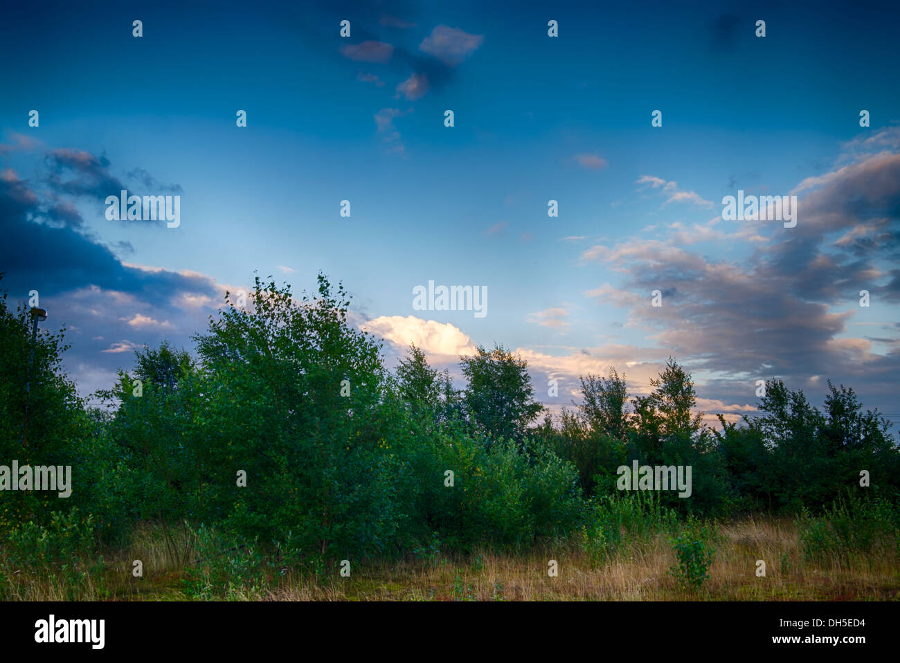 Feeling relax hi-res stock photography and images - Alamy