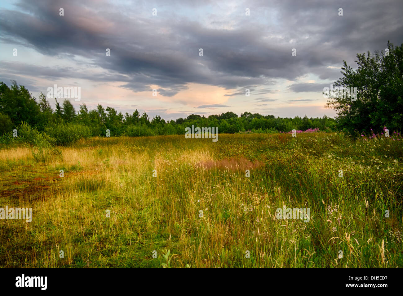 Feeling relax hi-res stock photography and images - Alamy