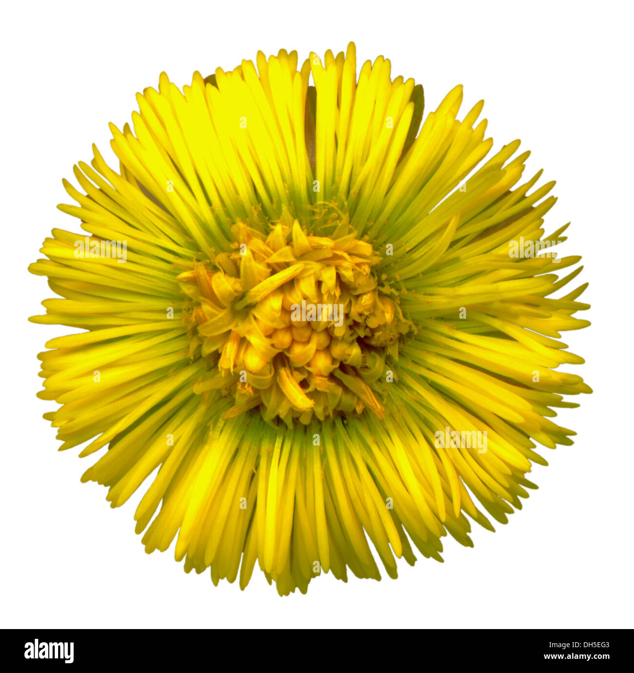 Geburtstag background Cut Out Stock Images & Pictures - Alamy